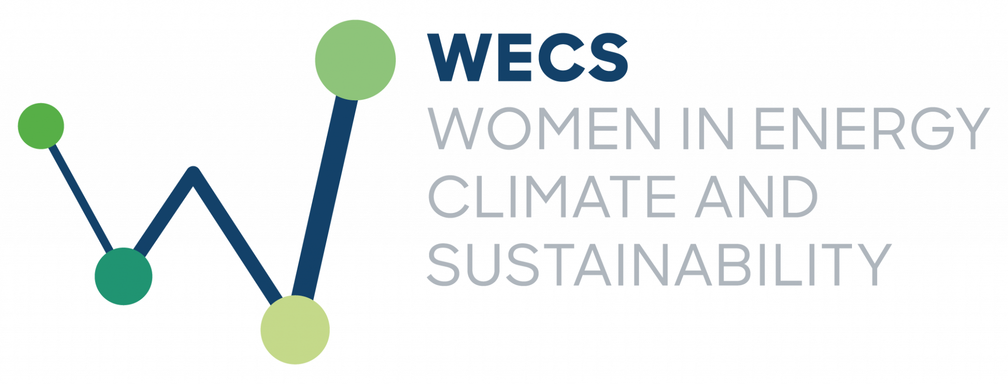 WECS Foundation - Florence School of Regulation