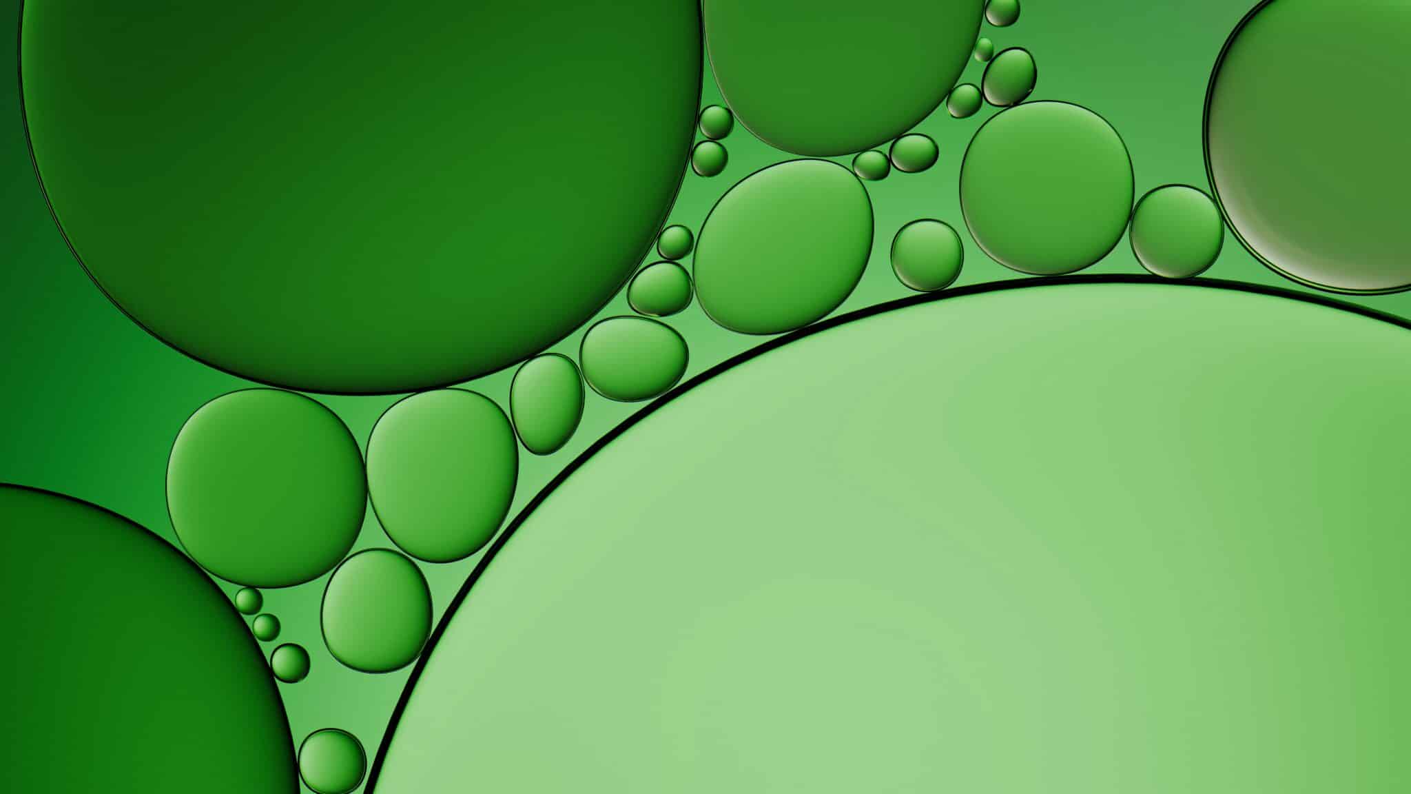 Lessons from the EU’s inaugural Hydrogen Bank auction