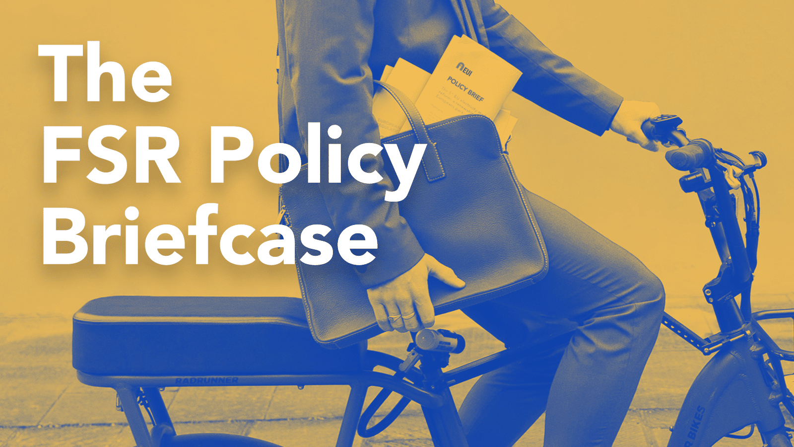 The FSR Policy Briefcase series