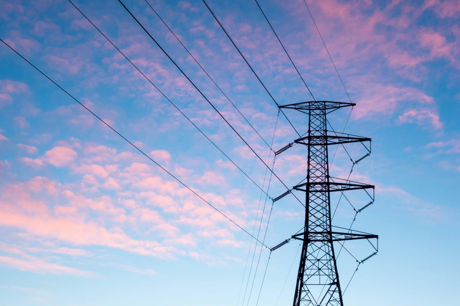 Flexibility and grids: tackling grid capacity and connection queues